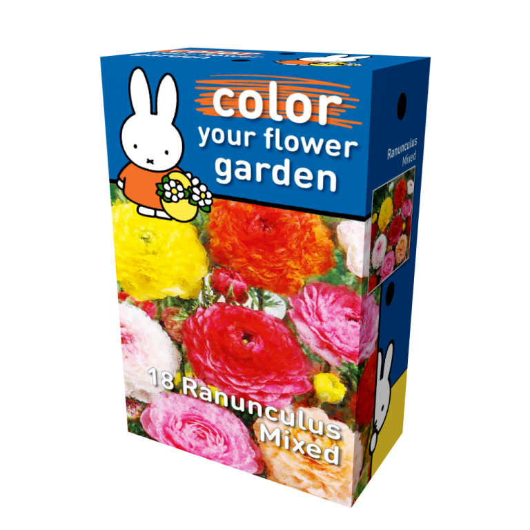 ranunculus mixed miffy box | only at miffytown