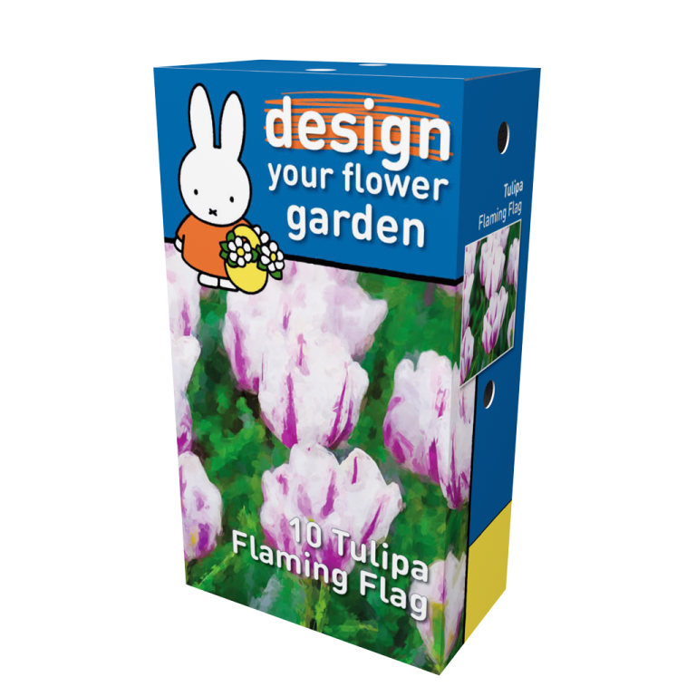 miffy flower bulbs | add color to your garden | miffytown