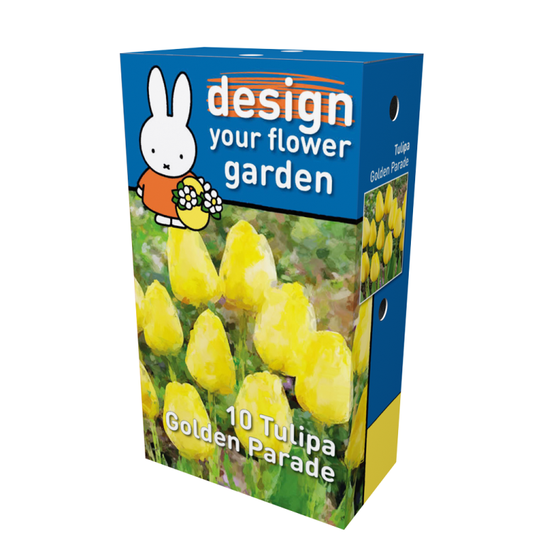 miffy flower bulbs | add color to your garden | miffytown