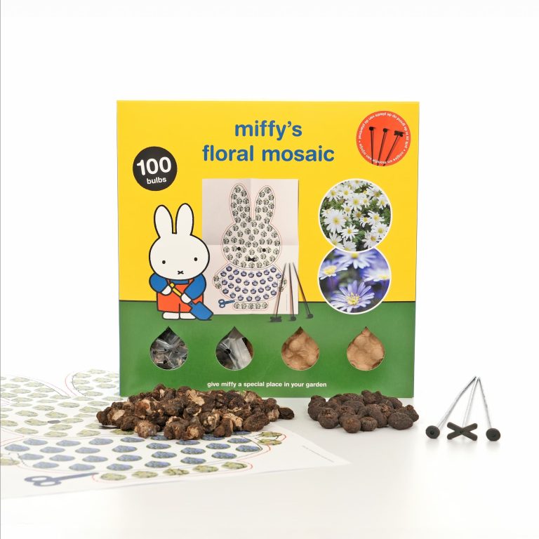 miffy flower bulbs & seeds | add color to your garden | miffytown