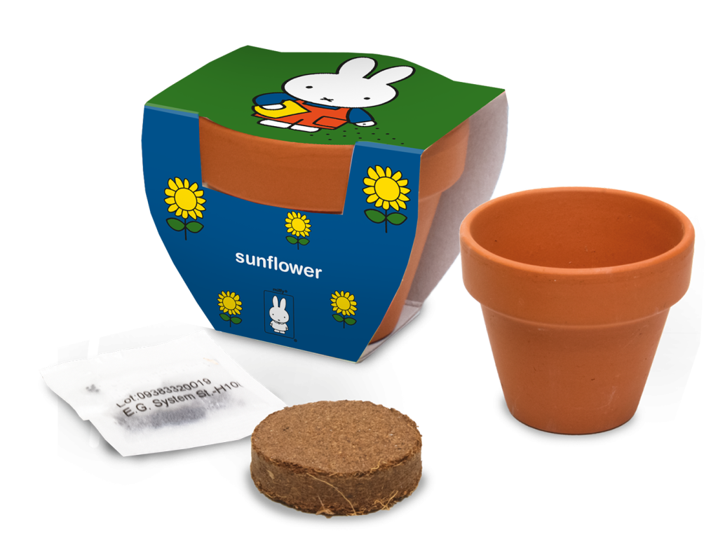 miffy terracotta pot with sunflower | only at miffytown